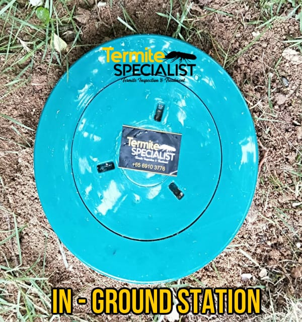 Termite Baiting Treatment, Termite Baiting System Singapore